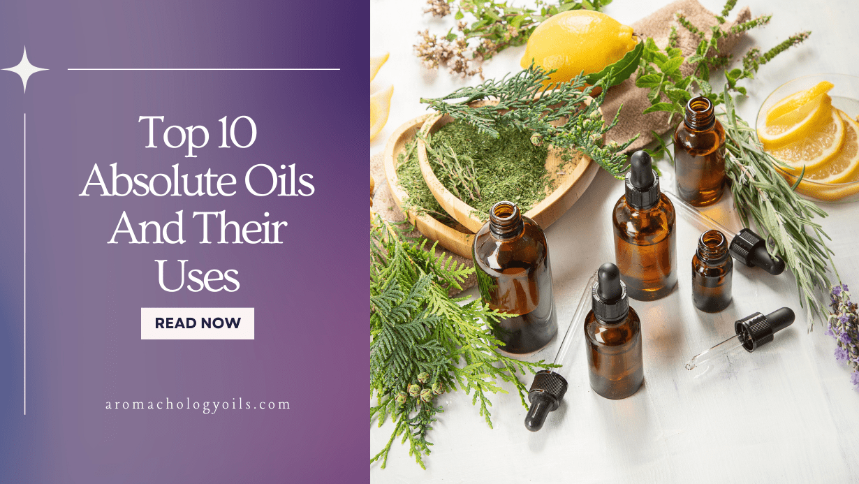 10 Best Absolute Oils And Their Uses - Aromachology Oils