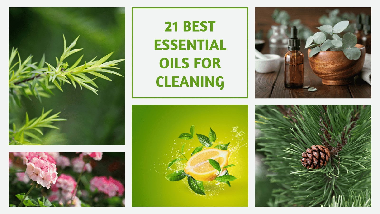 10 Best Essential Oils For Cleaning - Aromachology Oils