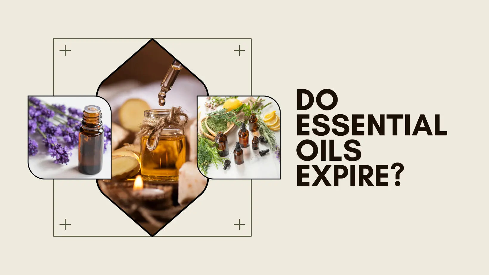 Do Essential Oils Expire? What Happens If You Use Expired Oils ...