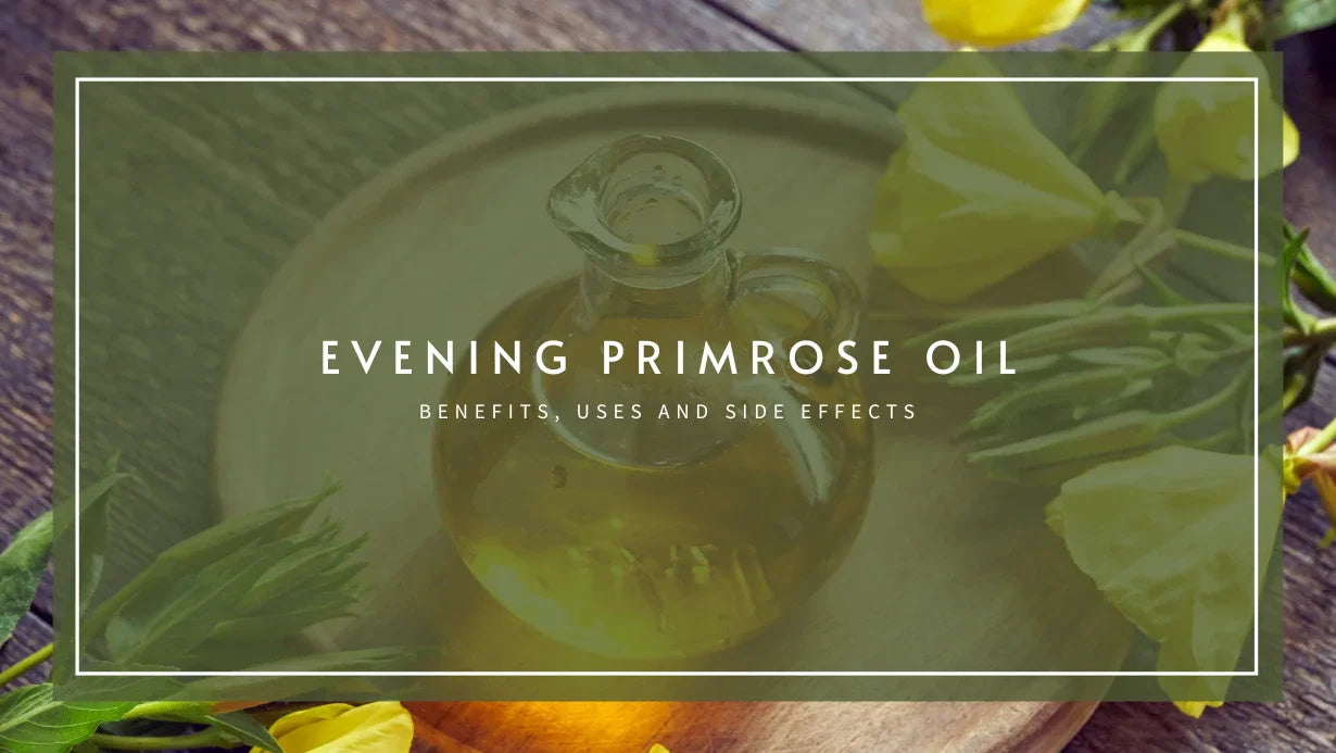 Evening Primrose Oil - Benefits, Uses and Side Effects - Aromachology Oils