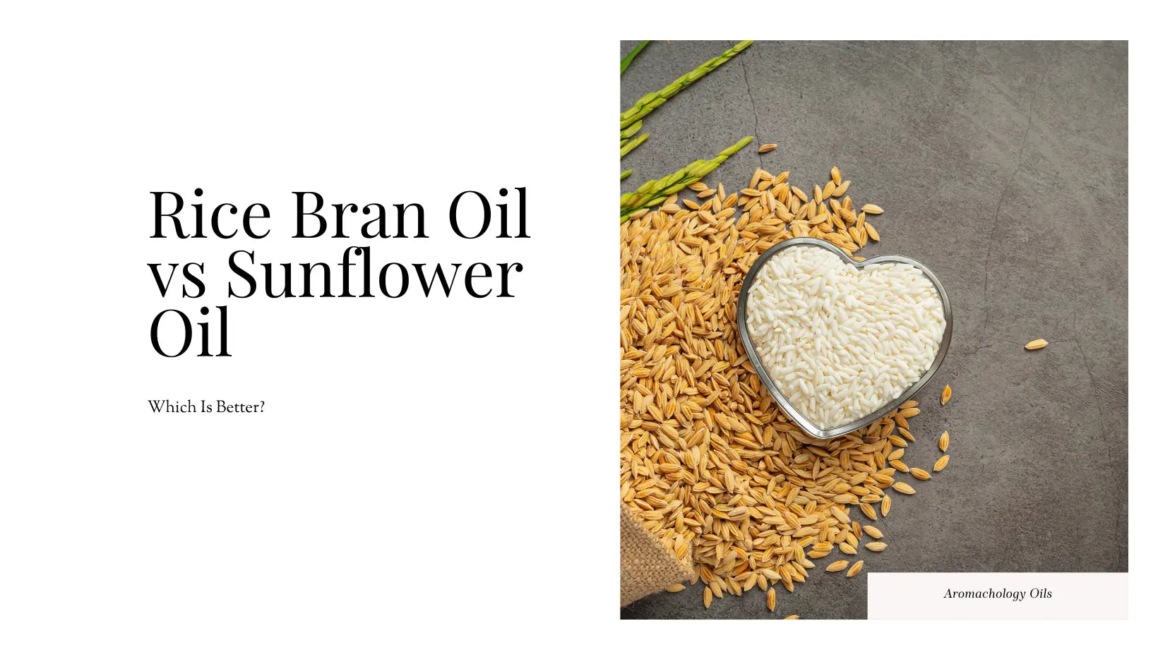 Rice Bran Oil vs Sunflower Oil: Which Is Healthier? - Aromachology Oils