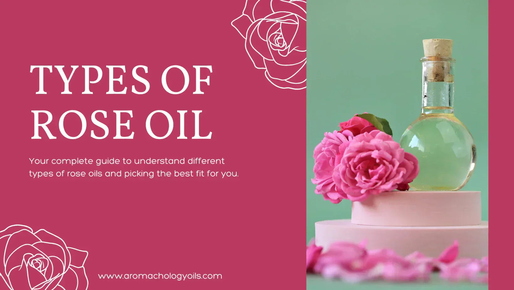 Types Of Rose Oil - Rose Otto vs Rose Absolute vs Others - Aromachology ...