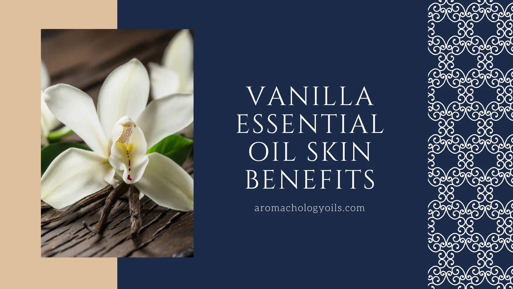 Complete Vanilla Essential Oil Skin Benefits and How To Use Guide ...