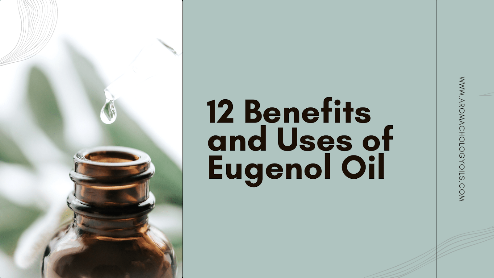 Eugenol Oil : Benefits, Uses and Side Effect - Aromachology Oils