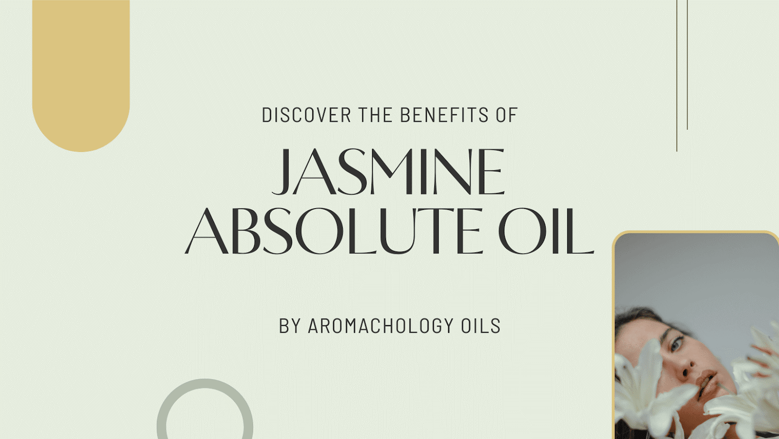 Complete Guide To Jasmine Absolute Oil: Benefits, Uses and Side Effect… - Aromachology Oils