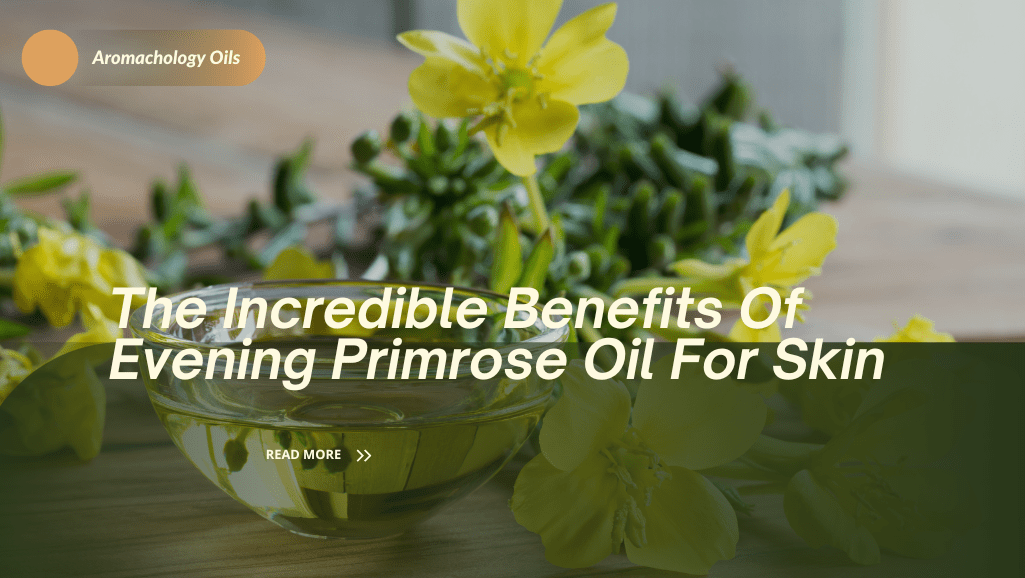 The Incredible Benefits Of Evening Primrose Oil For Skin - Aromachology ...
