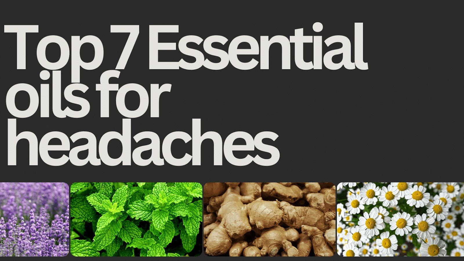 Top 7 Essential Oils for Headaches and How to Use Them - Aromachology Oils