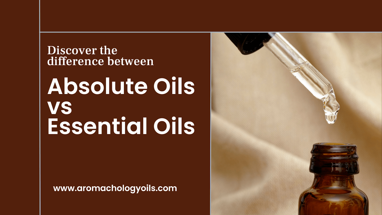 Difference Between Absolute Oil vs Essential Oil? - Aromachology Oils